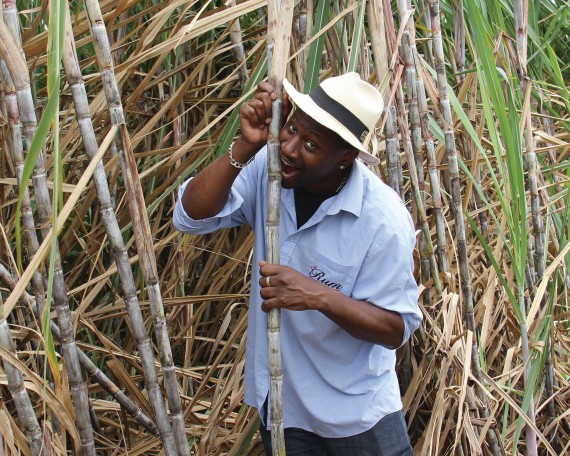 Ian Burrell: creating a legacy - Drinks International - The global ...